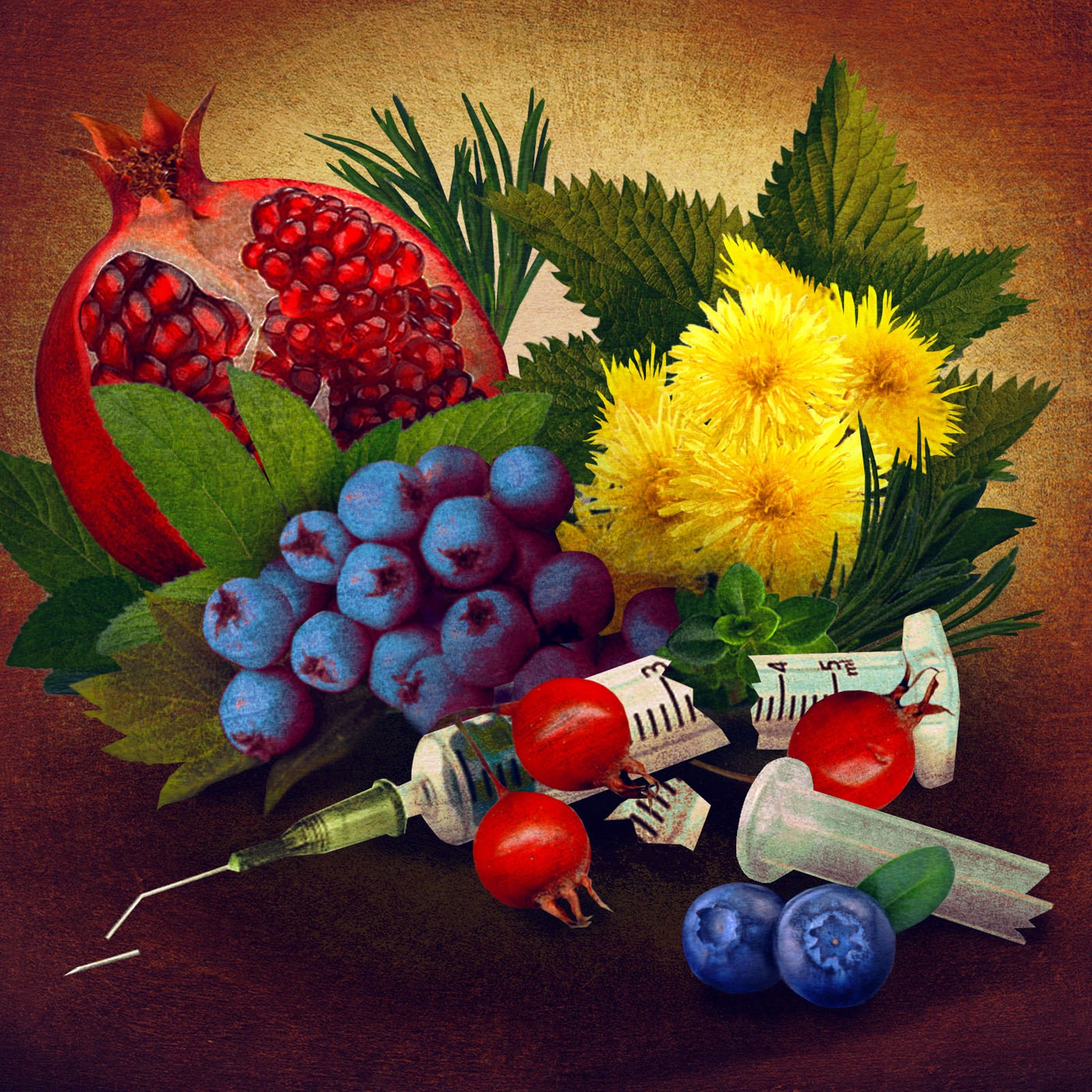 Ale + Ale - Collage Illustrator | New York