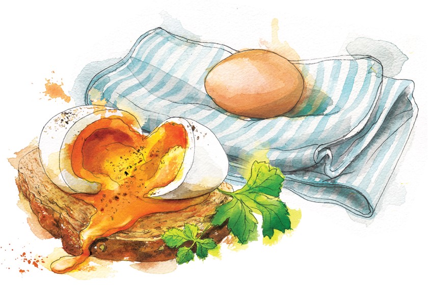 Breakfast Illustration by Georgina Luck | Directory of Illustration