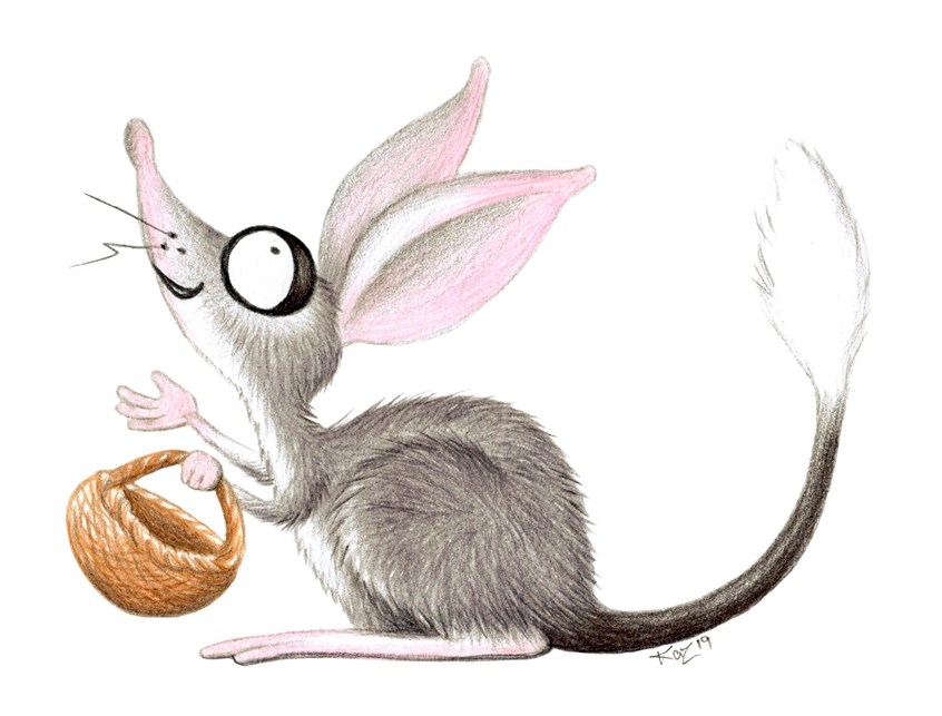 Aussie Bilby Concept Character Illustration by Karen Clarke Sagovac ...