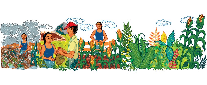 CAFOD Fairytale Email Campaign Illustration by Gennifer Wagayen ...