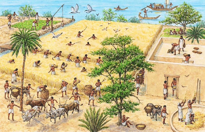 Ancient Egyptian Farming Illustration by Adam Hook | Directory of ...