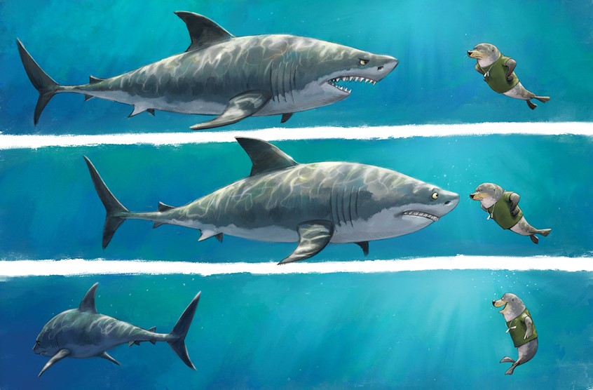 Make Your Bed with Skipper the Seal Illustration by Howard Mcwilliam ...