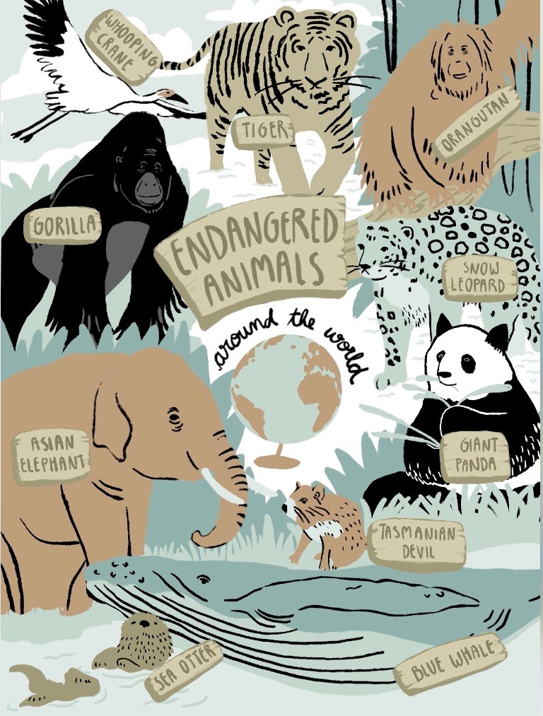 Endangered Animals Around the World Illustration by Natali de Mello ...
