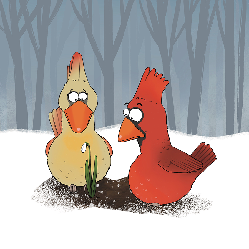 Robins Spring Illustration by Bekah Grace | Directory of Illustration