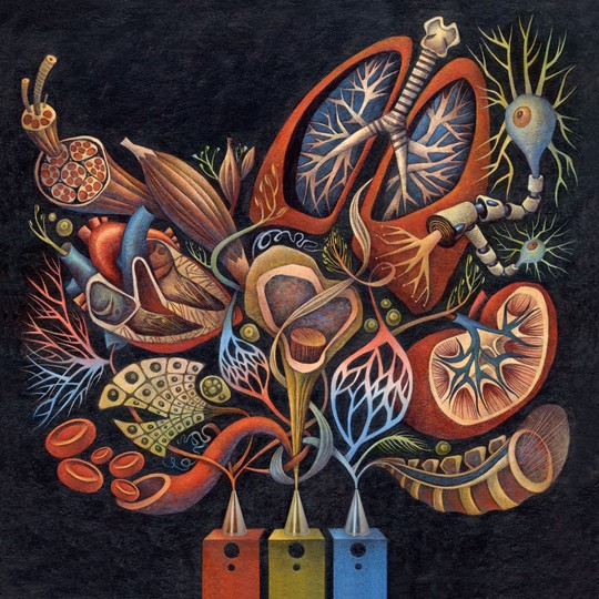 Sara Tyson - Acrylic Illustrator | Canada