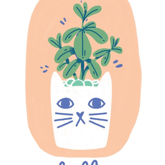Kim Bogeman - Texture Illustrator | Washington, DC