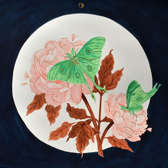 Kim Bogeman - Texture Illustrator | Washington, DC