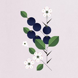Sally Caulwell - Digital Illustrator | United Kingdom