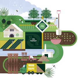 Sally Caulwell - Digital Illustrator | United Kingdom
