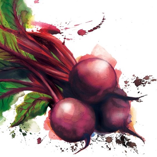 Georgina Luck - Watercolor Illustrator | United Kingdom