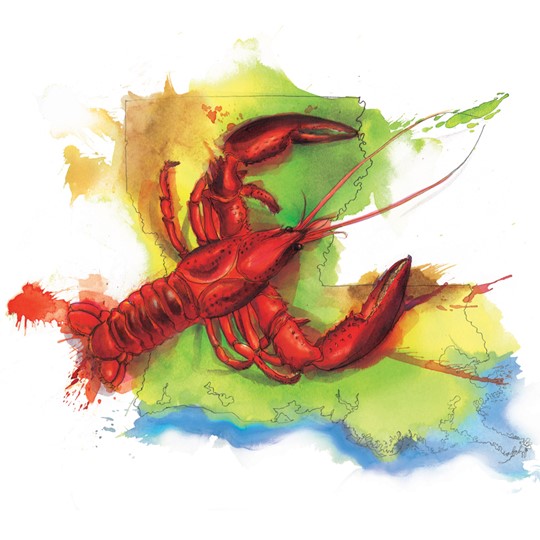 Georgina Luck - Watercolor Illustrator | United Kingdom