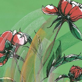 Mariah Graham Illustrations - Posters Illustrator | Jeffersonville