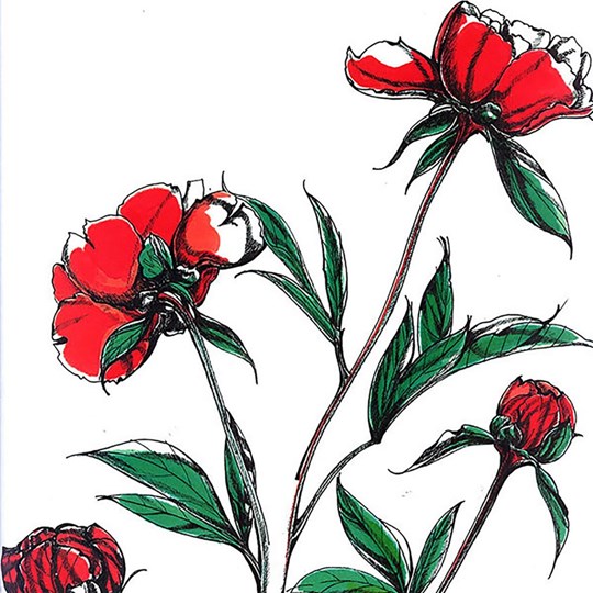 Mariah Graham Illustrations - Posters Illustrator | Jeffersonville