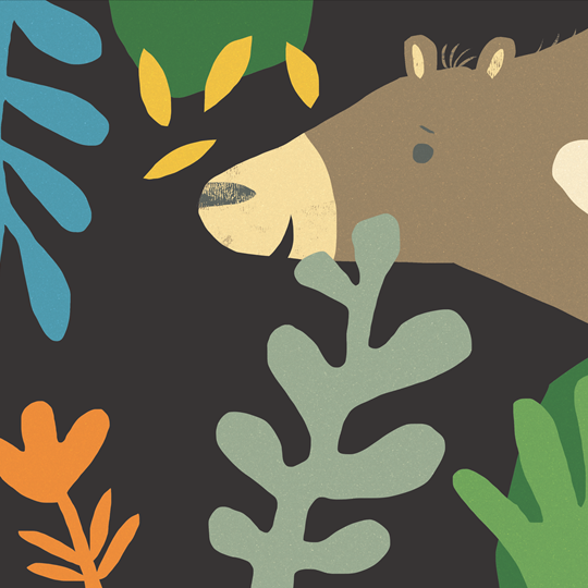 Ian Cunliffe - Children's Books Illustrator | United Kingdom