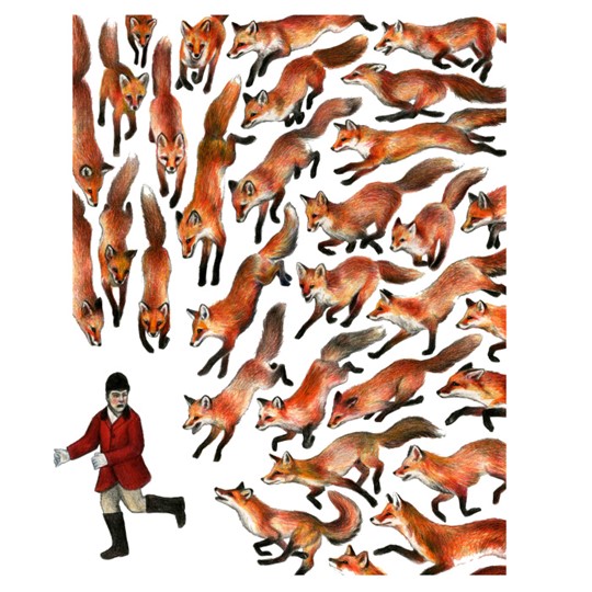Kate Louise Powell - Animals Illustrator | United Kingdom