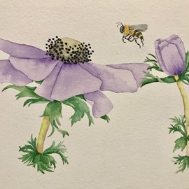 Lisa Holley - Botanical Illustrator | Sun Valley, Idaho