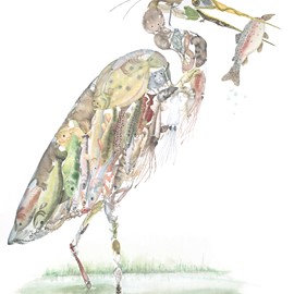 Lisa Holley - Botanical Illustrator | Sun Valley, Idaho