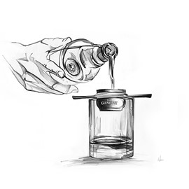 Alexis Marcou - Digital Illustrator | South Norwalk