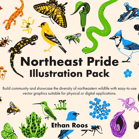 Ethan Roos - Digital Illustrator | United States