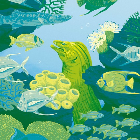 Ethan Roos - Digital Illustrator | United States
