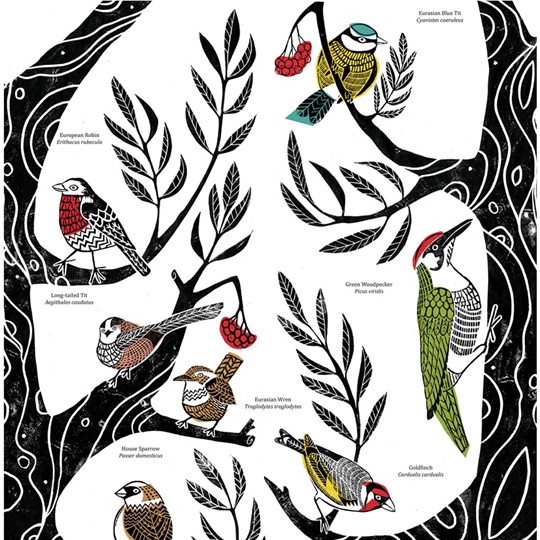 Becca Thorne - Woodcut Illustrator | United Kingdom