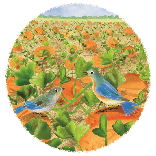 Paul Meisel - Children's Books Illustrator | Directory of Illustration