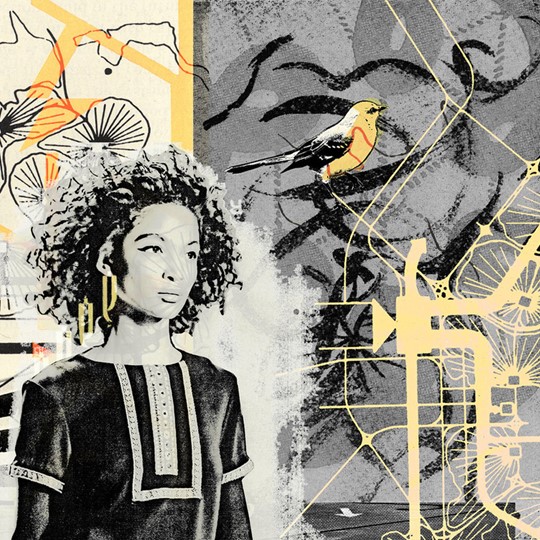 Jackie Parsons - Collage Illustrator | Directory of Illustration